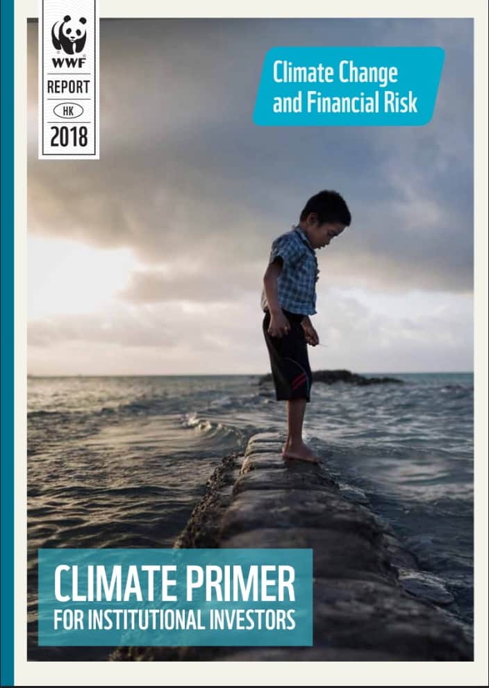 CLIMATE CHANGE PRIMER FOR INSTITUTIONAL INVESTORS - MILLTRUST INTERNATIONAL