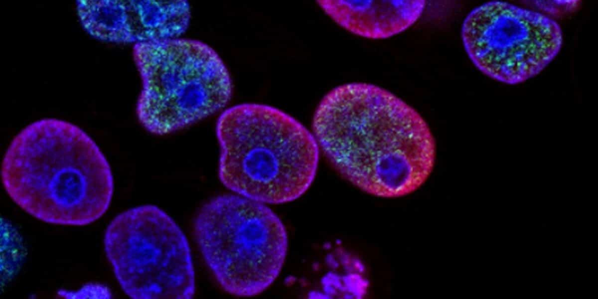 News & Media - Milltrust International | Investment Solutions